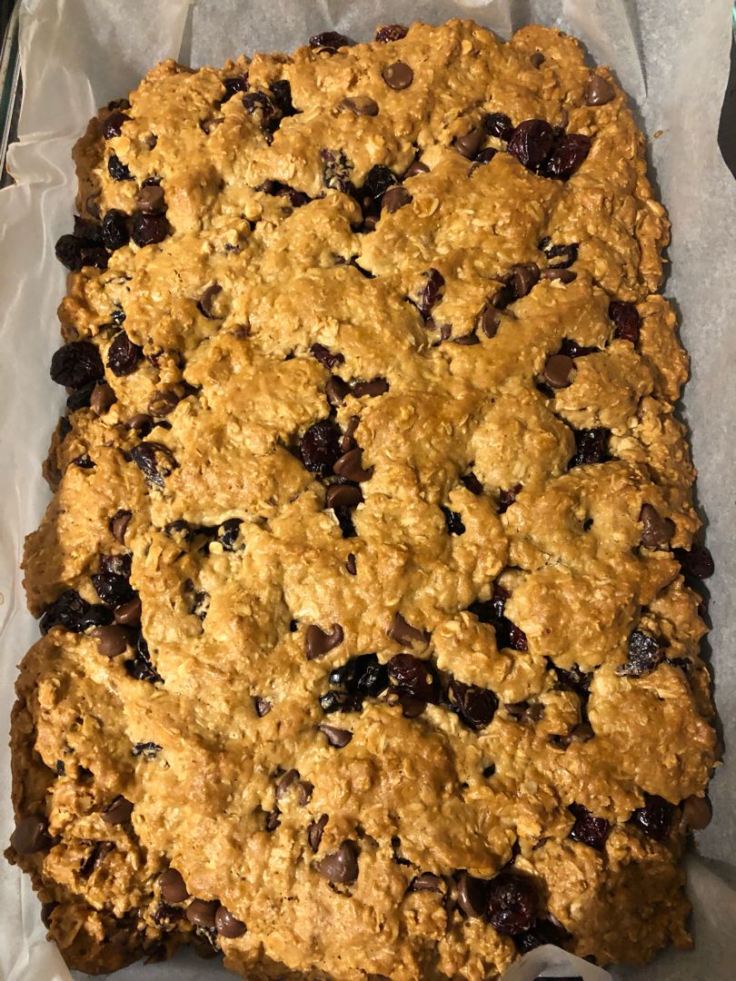 Oatmeal Chocolate Chip Cookie Bars